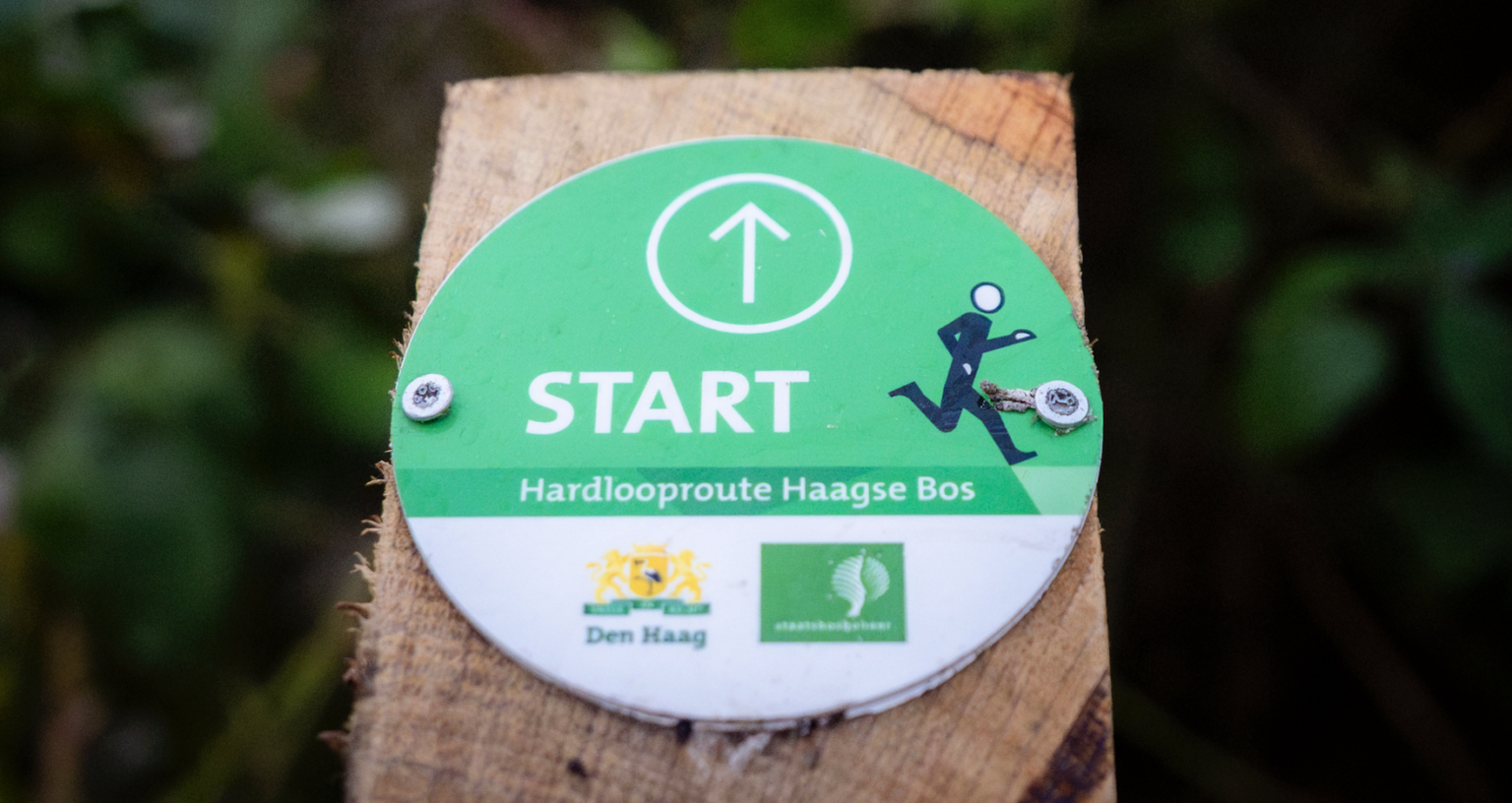 Eerste gemarkeerde hardlooproute in Den Haag geopend in Haagse Bos ...